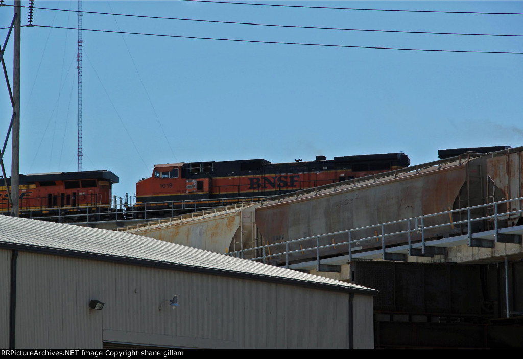 BNSF 1019 is 3rd out.